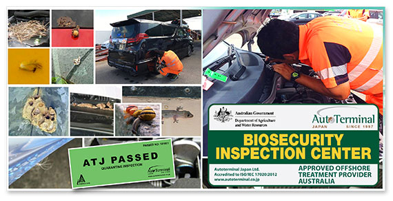 Australia – DAFF Biosecurity Inspection – Autoterminal Japan